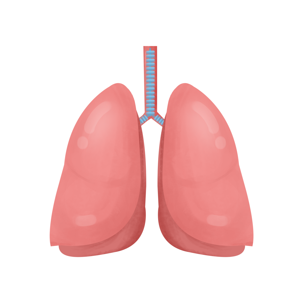 RET基因融合陽性的非小細胞肺癌之新標靶藥物-selpercatinib（銳癌寧） - 陳駿逸醫師 與你癌歸於好
